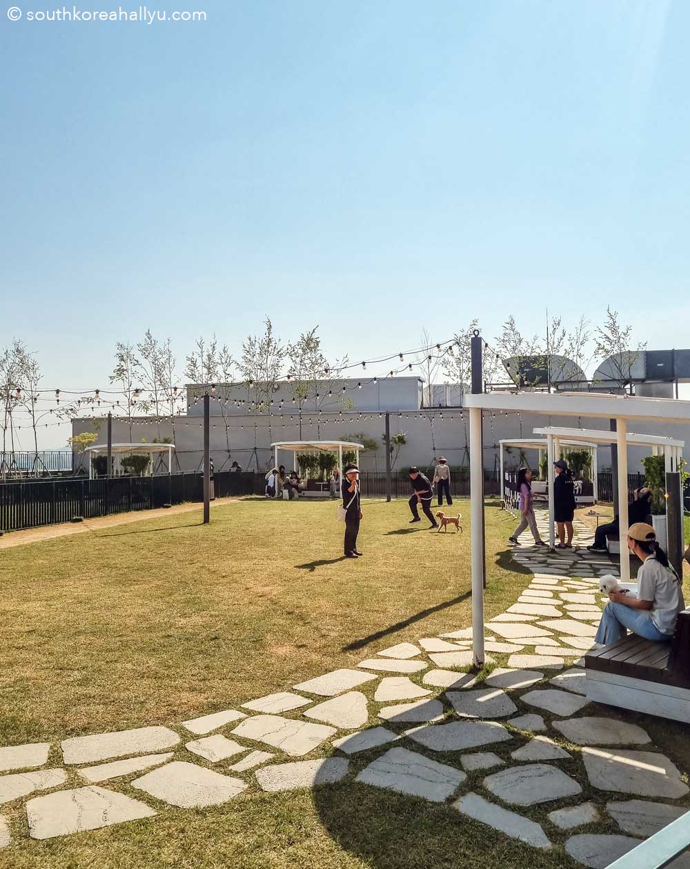 Suwon - 15 Things To Do Guide + Photos 2025 - South Korea Hallyu